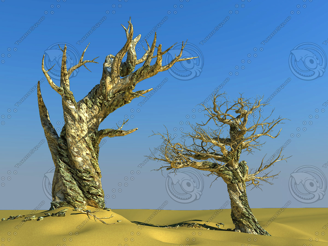 old tree 3d model