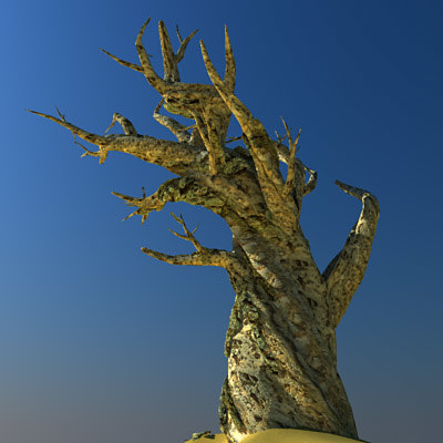 old tree 3d model