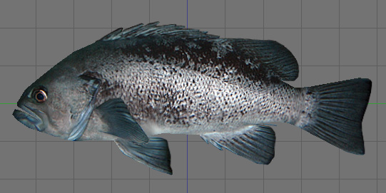 fish games 3d model