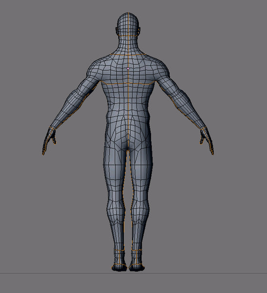 base human male body 3d model
