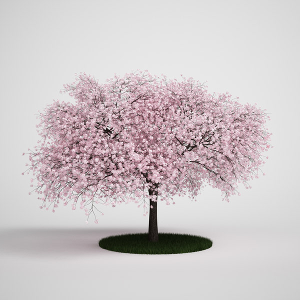 Free Low Poly Tree 3D Models for Download | TurboSquid