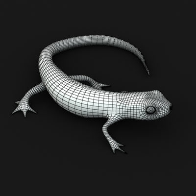 smooth newt lizards 3d model