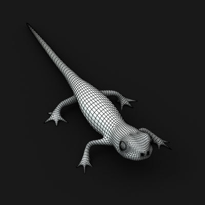 smooth newt lizards 3d model