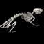 mouse skeleton 3d obj
