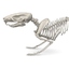 mouse skeleton 3d obj