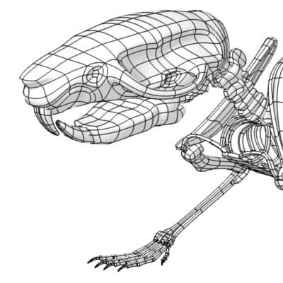 mouse skeleton 3d obj