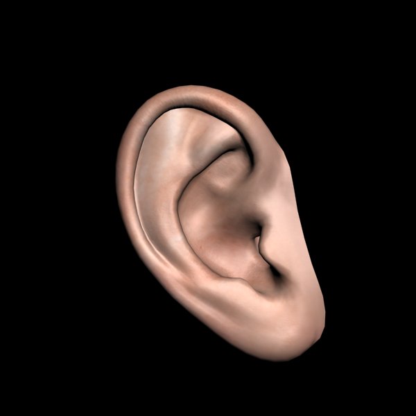 Ear 3D Models for Download | TurboSquid