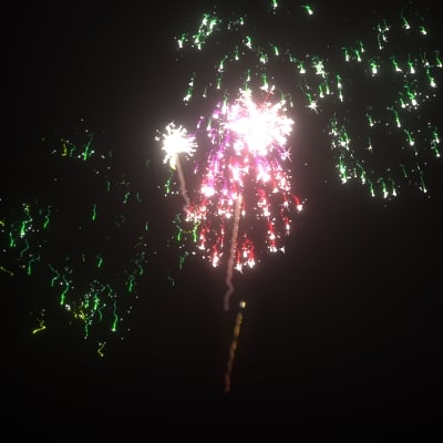 scene fireworks 3d model