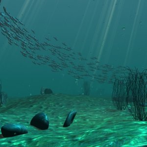 Ocean Floor 3D Models for Download | TurboSquid