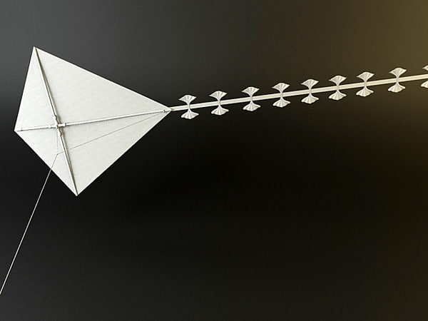 kite rigged 3d model