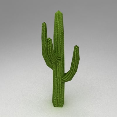 cactus 3d model