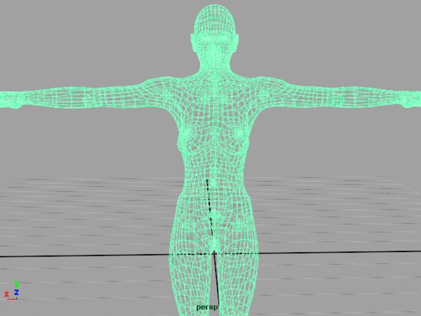 anatomically correct female 3d model