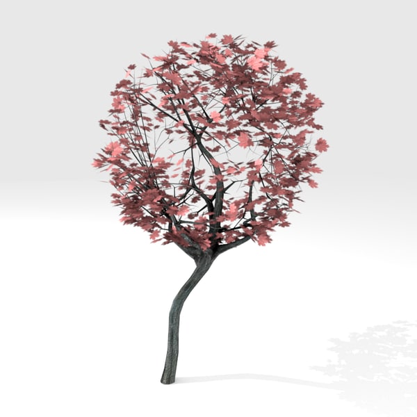 tree leaf 3d model