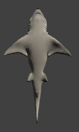 brown shark animation obj
