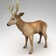 3ds max rigged deer
