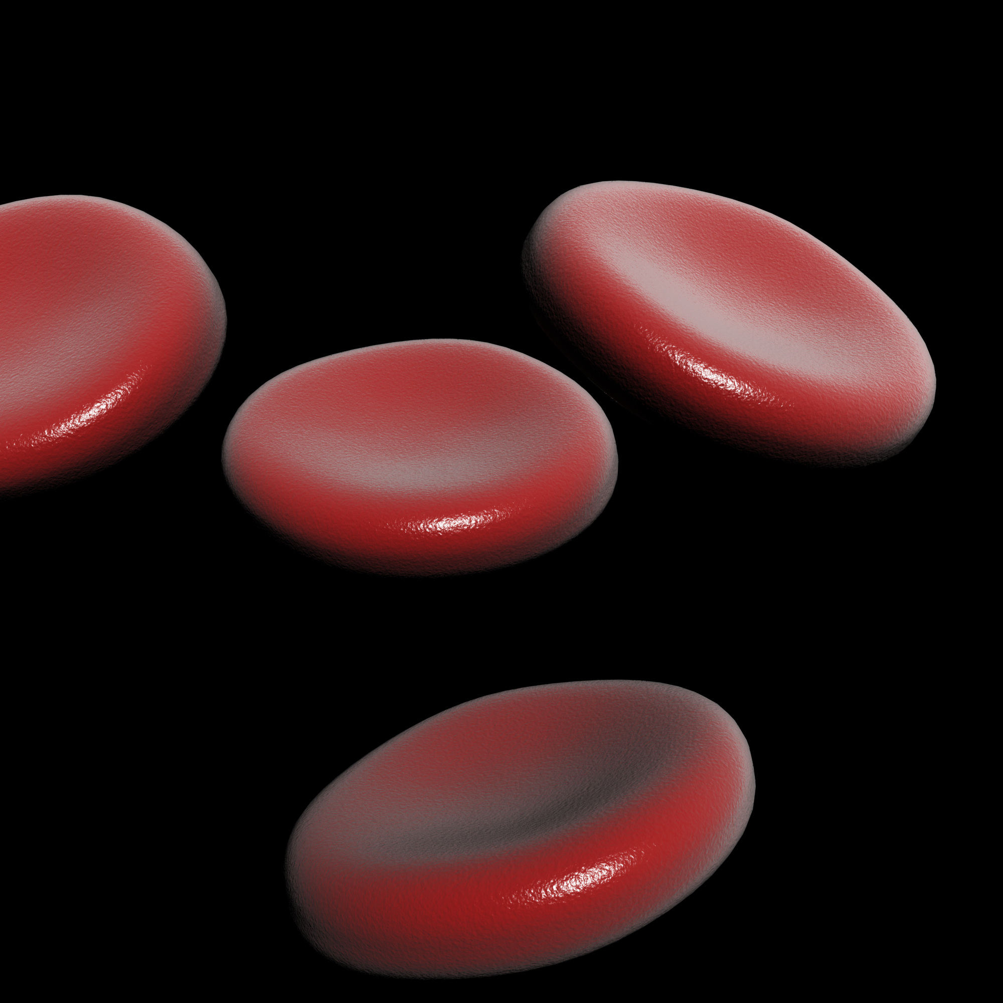 red blood cell 3d model