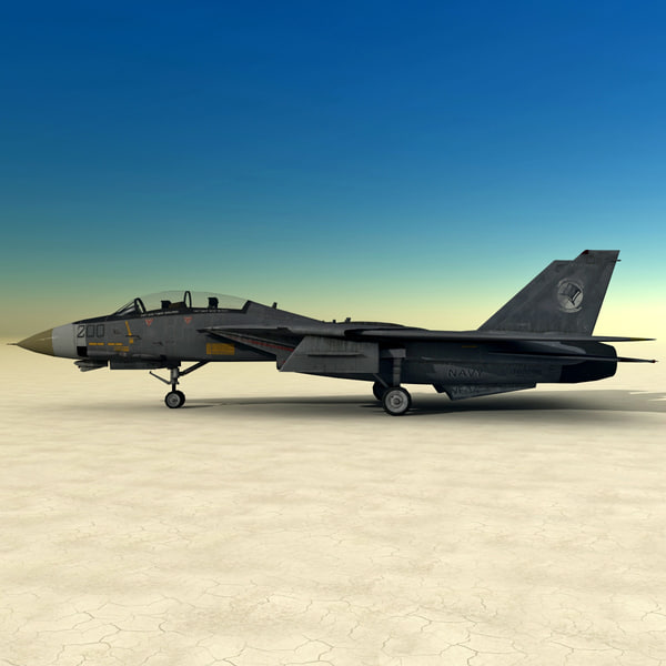 f-14 tomcat low-poly 3d model