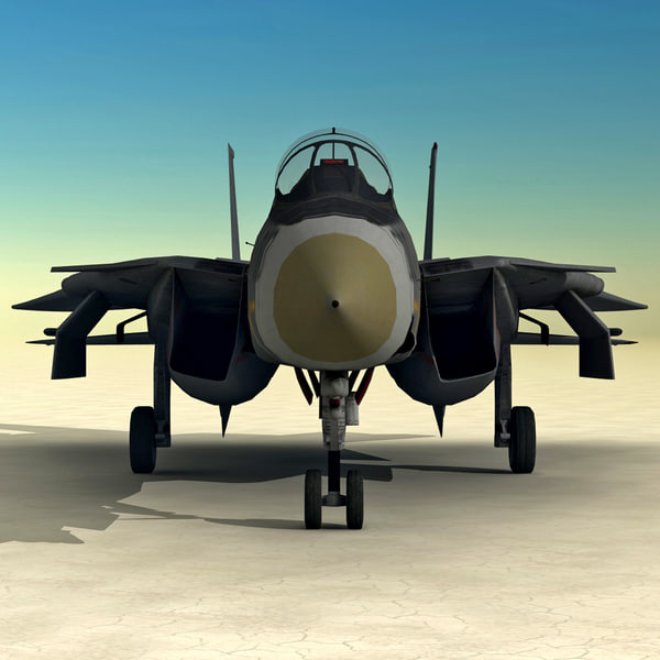 f-14 tomcat low-poly 3d model