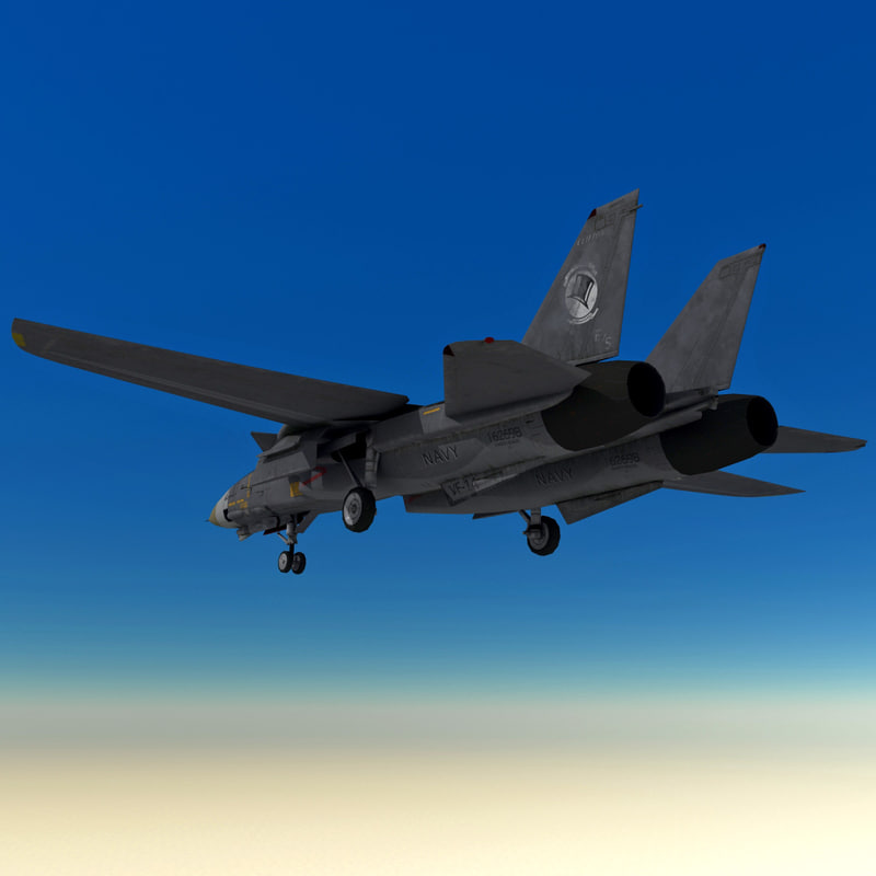 f-14 tomcat low-poly 3d model