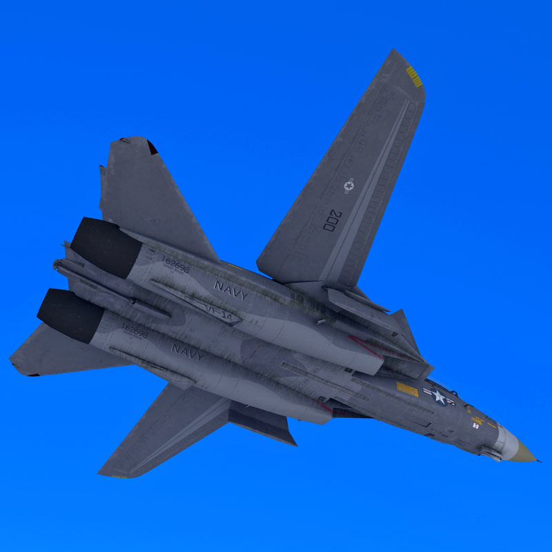 f-14 tomcat low-poly 3d model