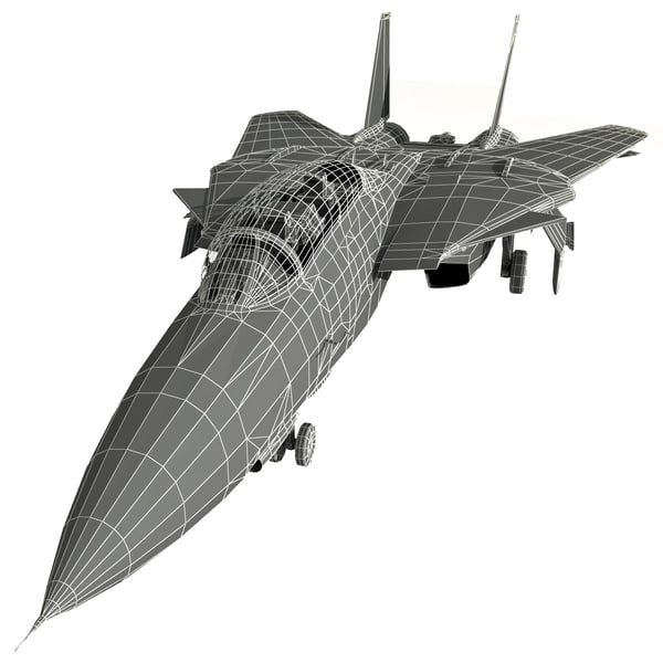 f-14 tomcat low-poly 3d model