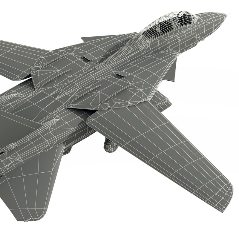 f-14 tomcat low-poly 3d model