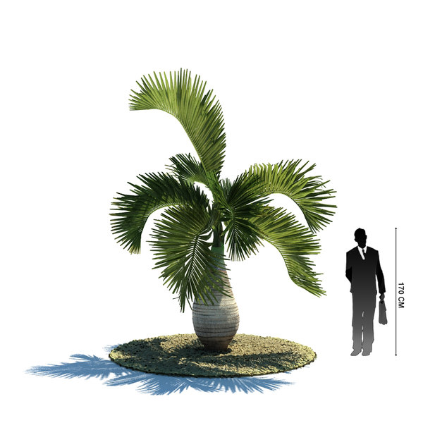 archmodels 85 trees 3d c4d