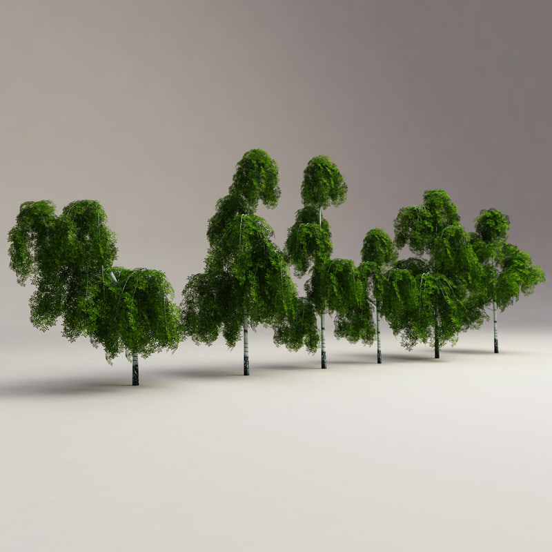 3d model low-poly birch trees