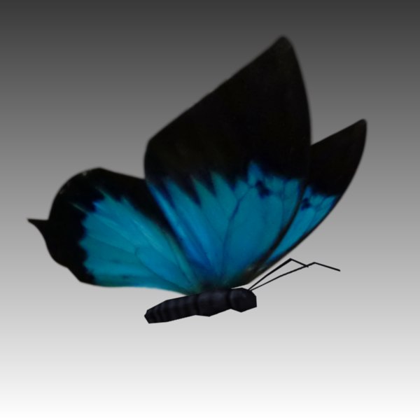 3d blue butterfly fly model