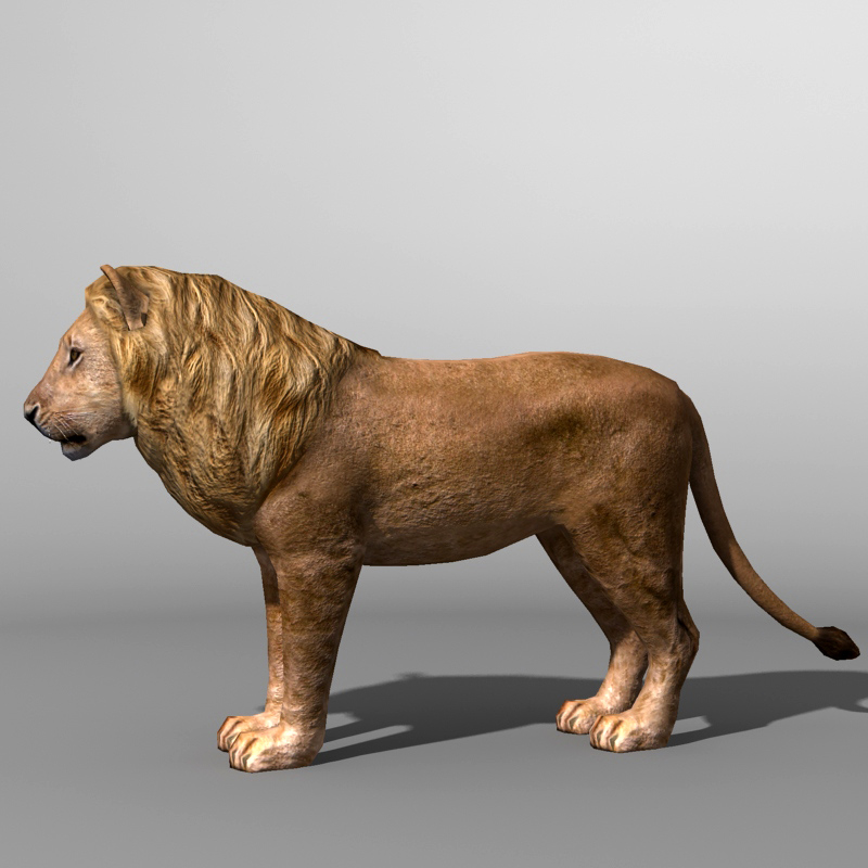 lion family 3d max