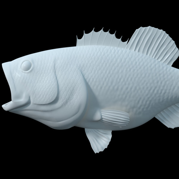 largemouth bass fish 3d model