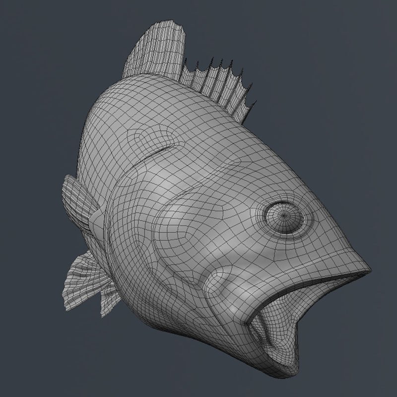 largemouth bass fish 3d model