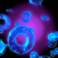 3d model common cold cell