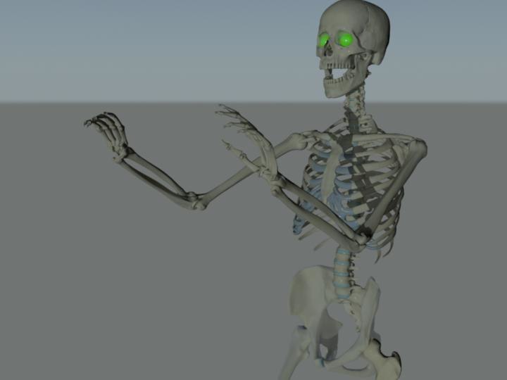 skeleton rigged 3d model