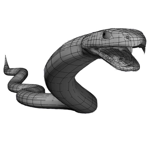 anacondas snakes 3d model