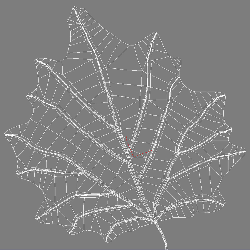3d model realistic autumn leaves leaf