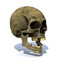 skull pack 3d model