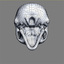 skull pack 3d model
