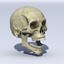 skull pack 3d model