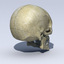 skull pack 3d model