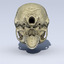 skull pack 3d model