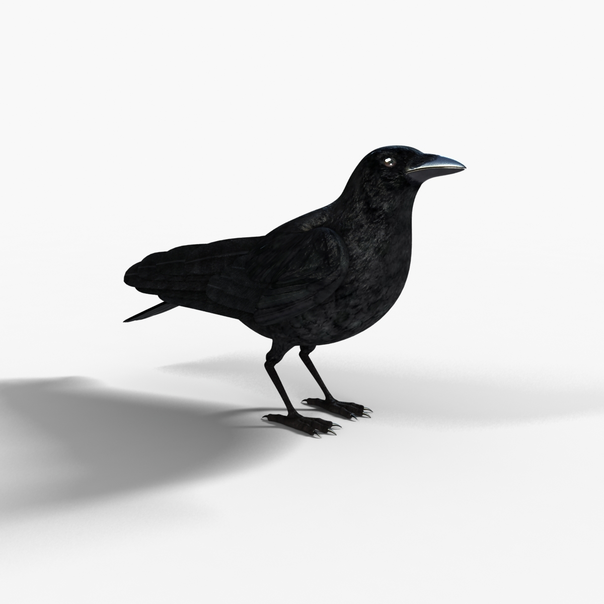 3ds max crow rigged