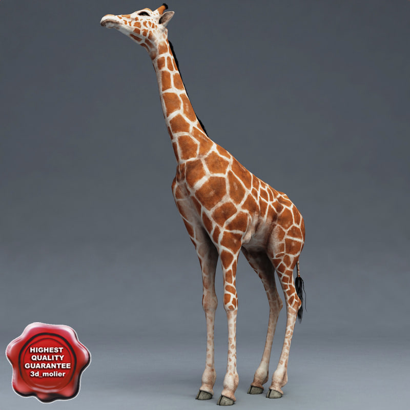 giraffe modelled 3d 3ds