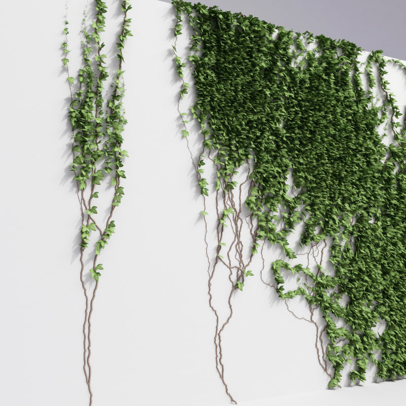 3dsmax wall ivy v4