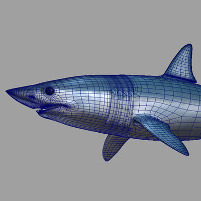 maya shark animation