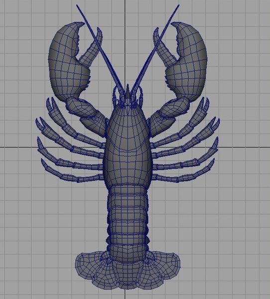 3d lobster