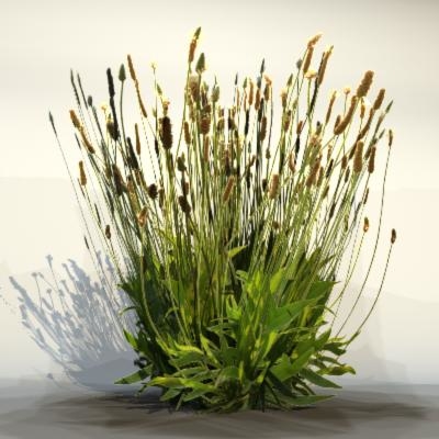 3d pc grass