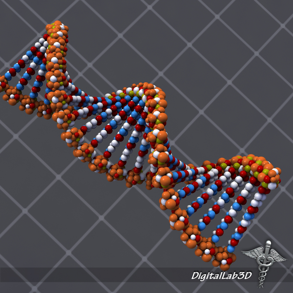 dna structure molecules 3d max