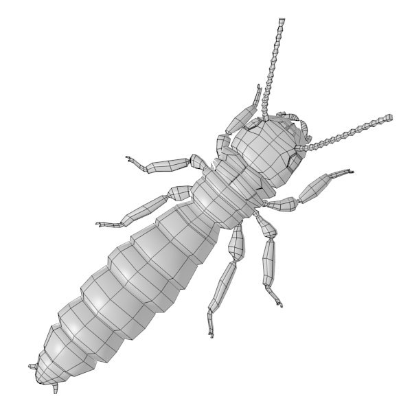 3d model of termite