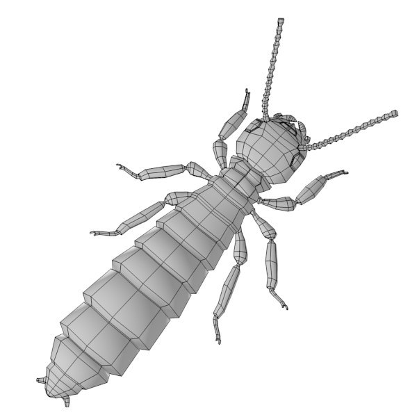 3d model of termite